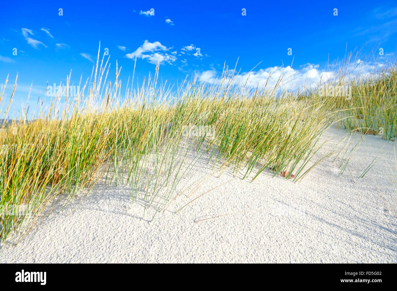 Horizon beach blue sky white sand hi-res stock photography and images ...