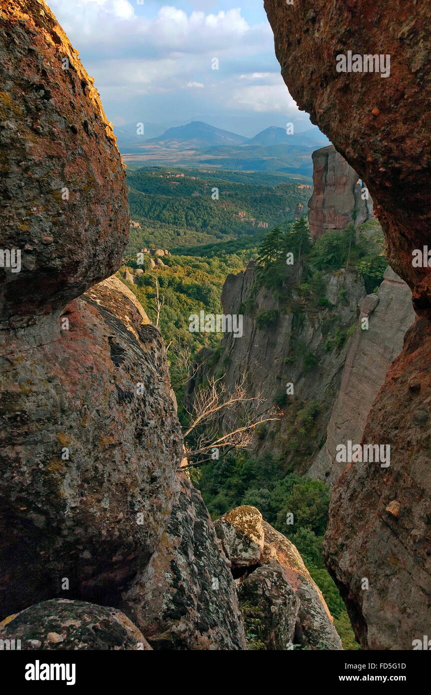 Cleft hi-res stock photography and images - Alamy