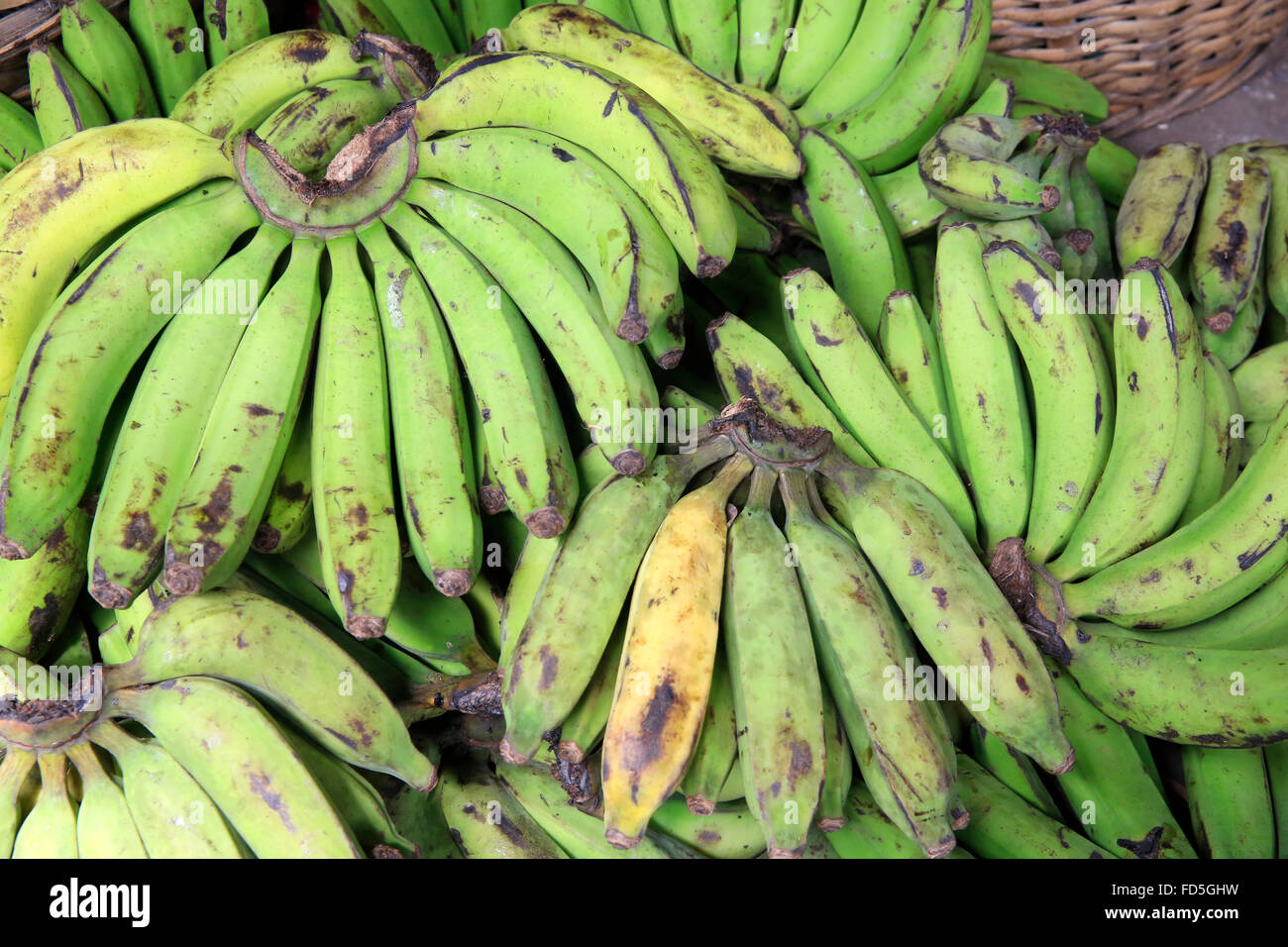 African bananas hi-res stock photography and images - Alamy