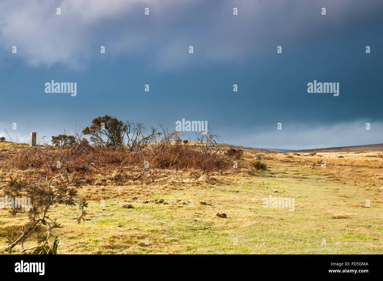A marker post on one of the many pathways across Dartmoor, with a heavy ...