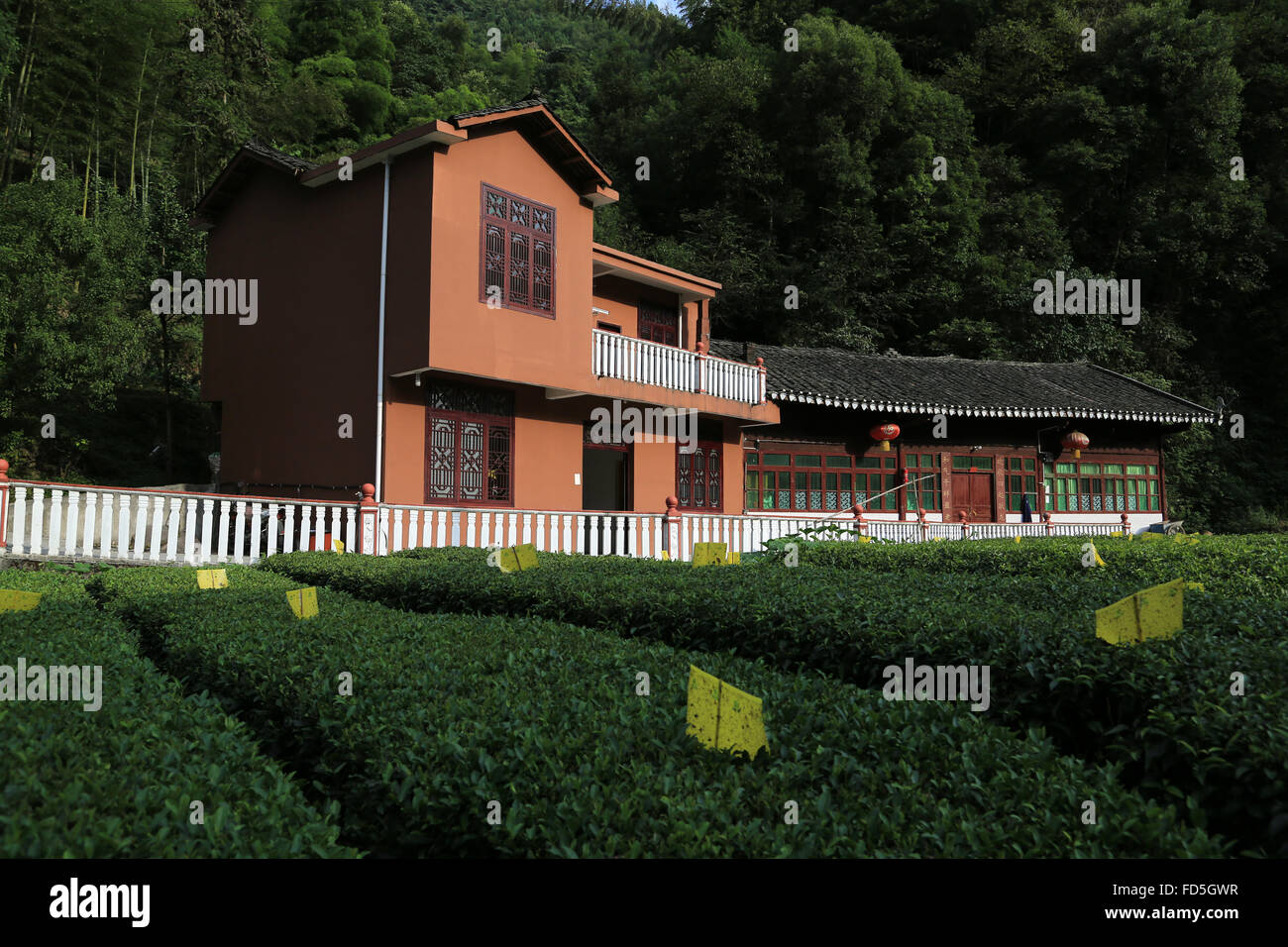 Hubei province enshi city hi-res stock photography and images - Alamy