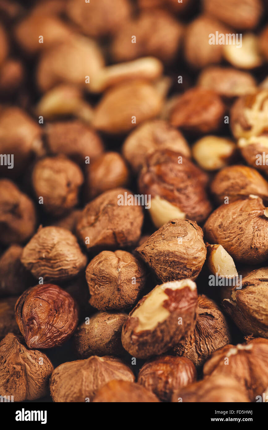 Plenty of ripe hazelnuts, healthy edible organic hazel nuts, macro shot ...