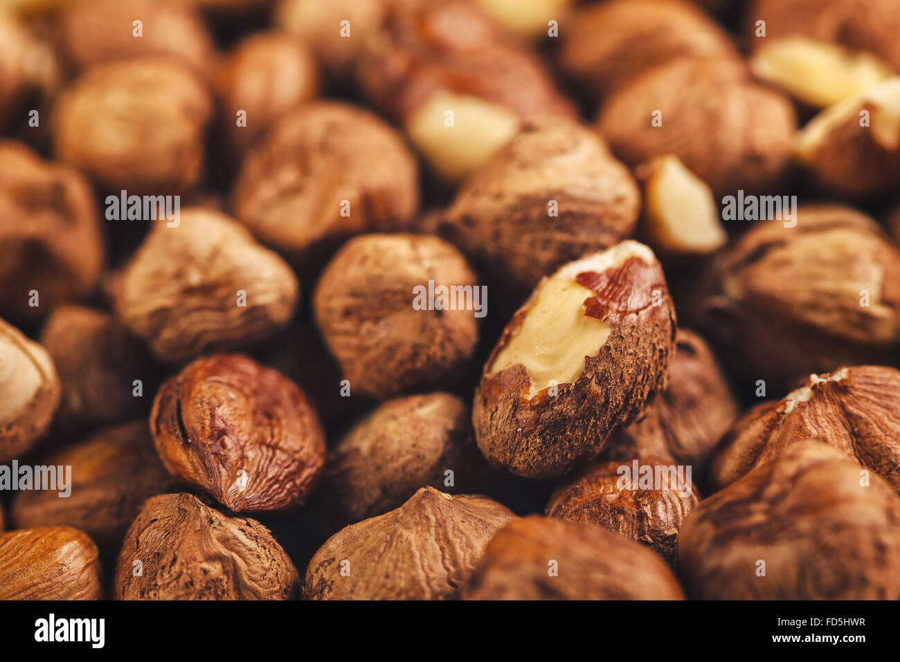 Plenty of ripe hazelnuts, healthy edible organic hazel nuts, macro shot ...