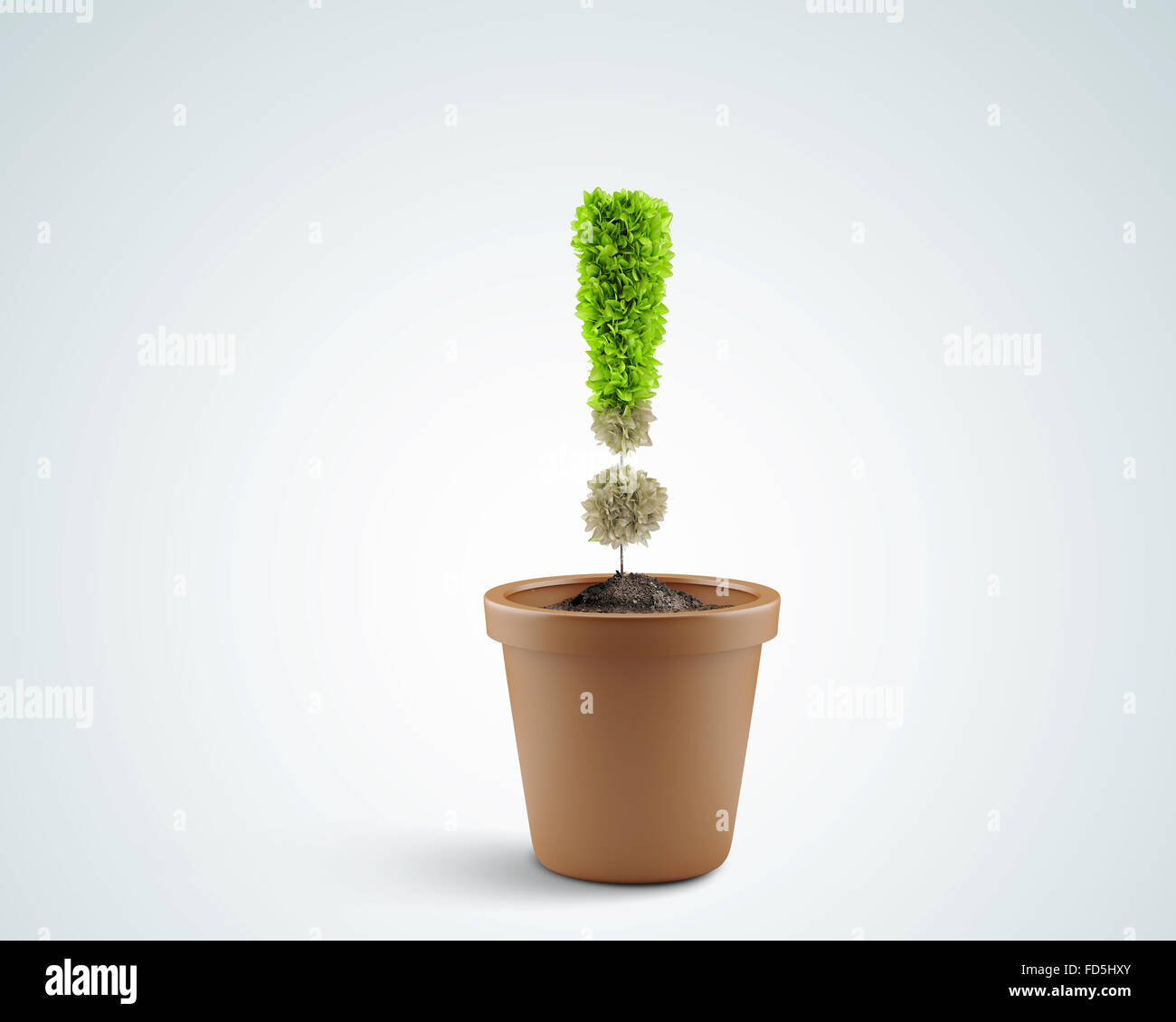 Floral summer exclamation mark hi-res stock photography and images - Alamy