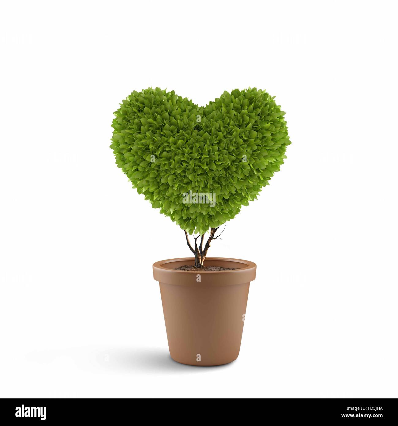 Image of plant hi-res stock photography and images - Alamy