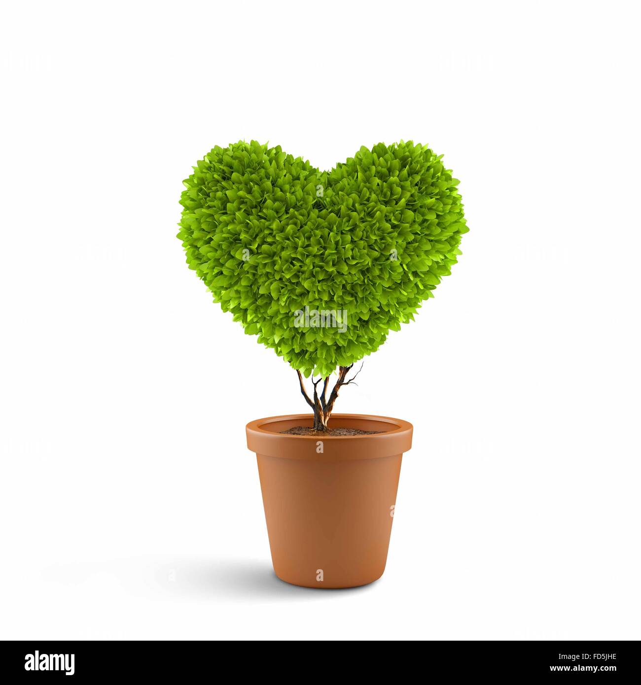 Heart shaped leaf in hand hi-res stock photography and images - Alamy