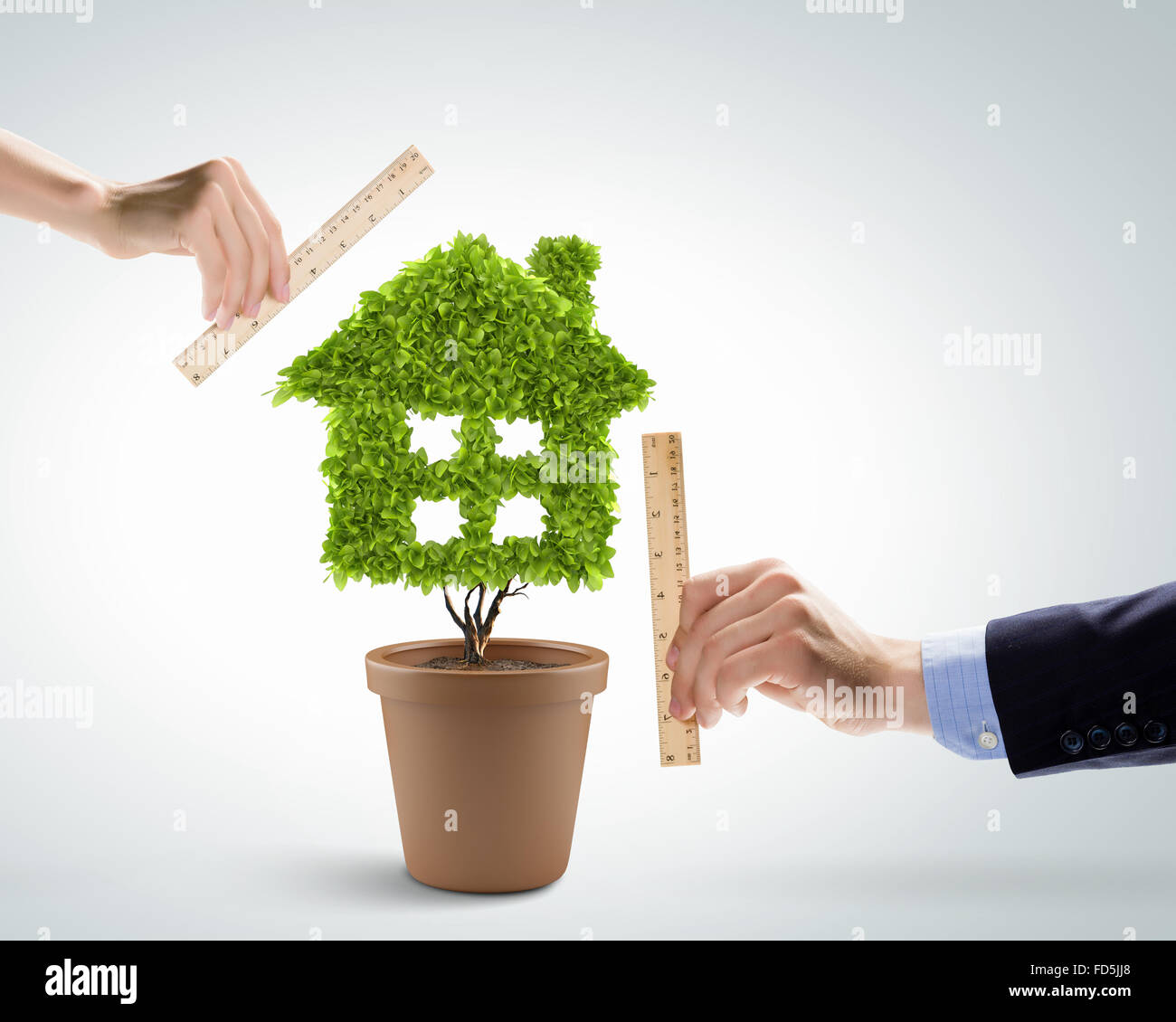 Image of plant in pot shaped like house Stock Photo - Alamy