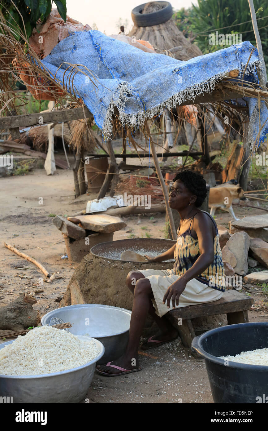 Drying cassava on a heat source Stock Photo - Alamy