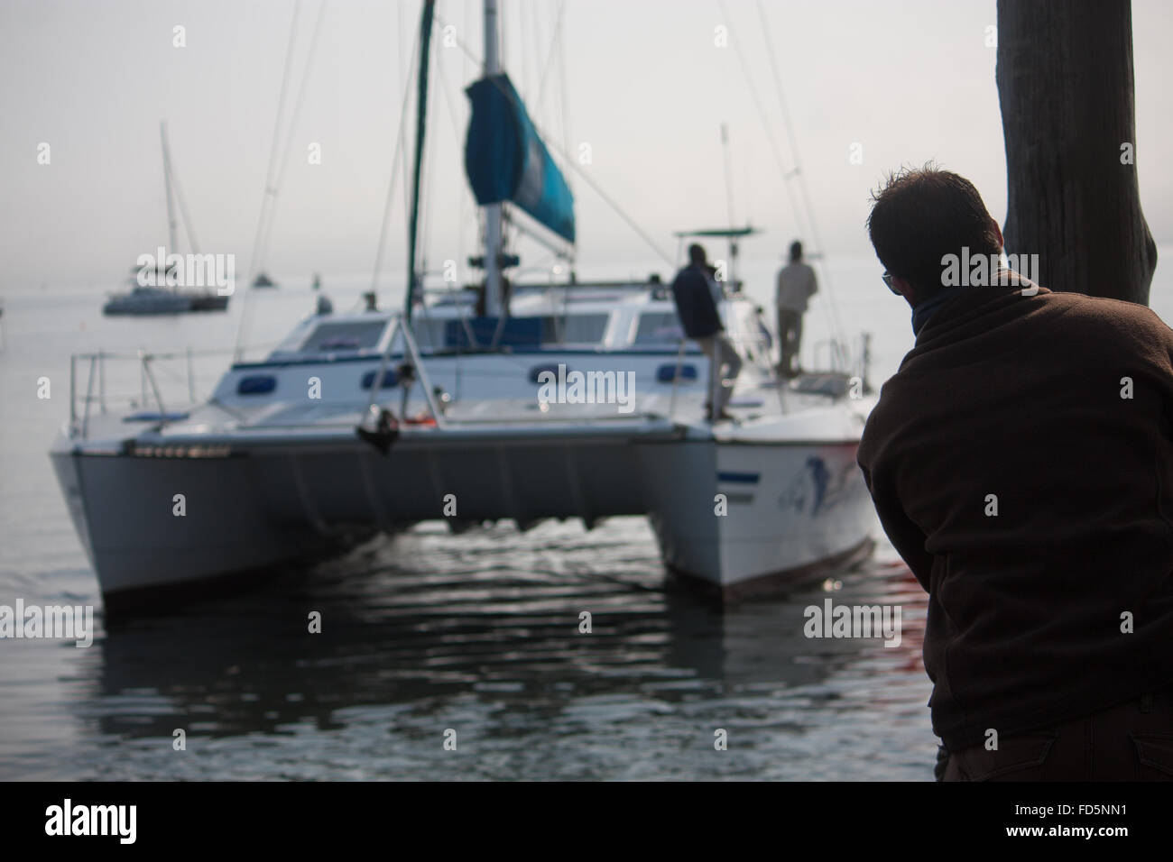 Rear View Of Man Watching Boat Moored On Sea Stock Photo - Alamy