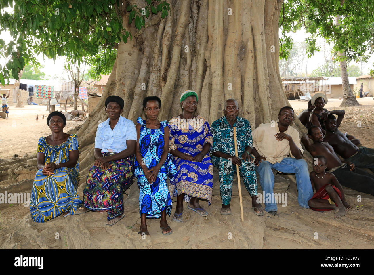 Palaver tree hi-res stock photography and images - Alamy
