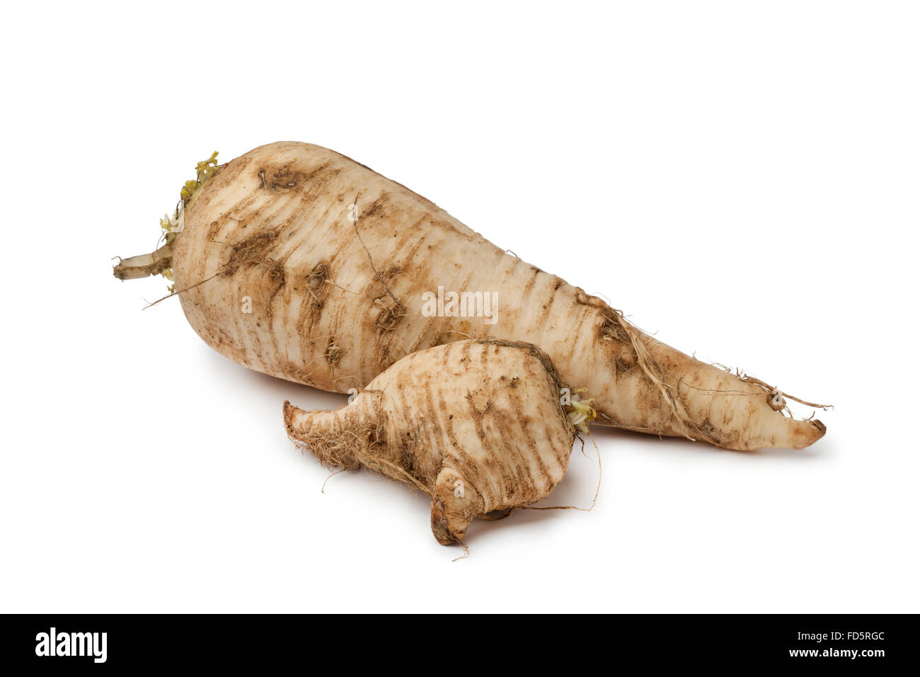 Fresh homegrown parsnip on white background Stock Photo - Alamy