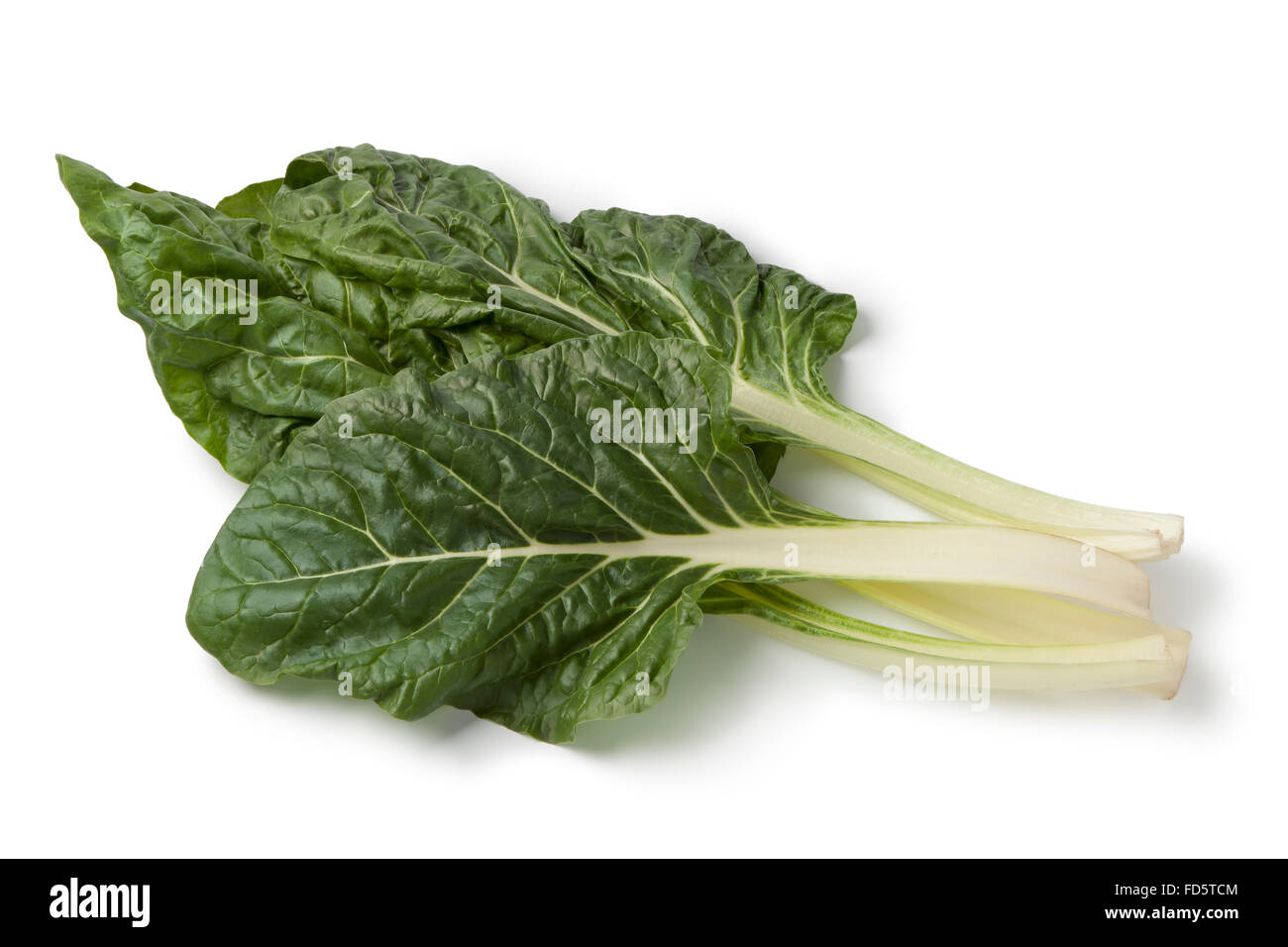 Silver chard hi-res stock photography and images - Alamy