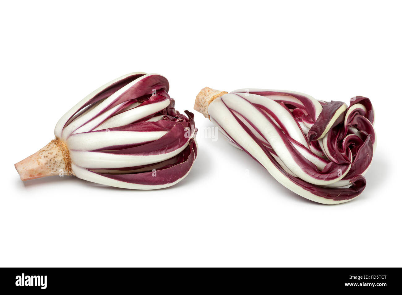 Radicchio Rosso di Treviso on white background Stock Photo - Alamy