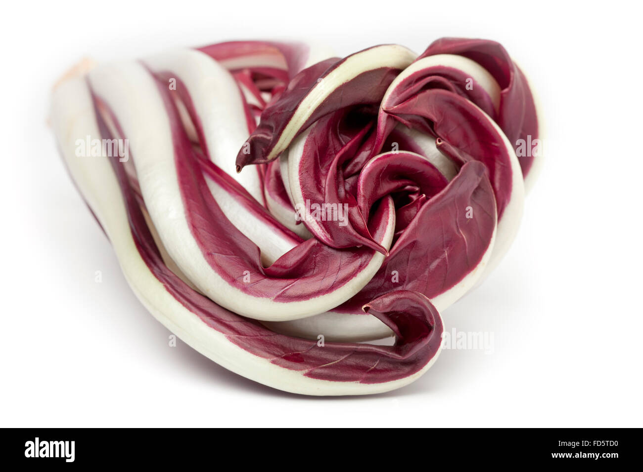 Radicchio Rosso di Treviso on white background Stock Photo - Alamy