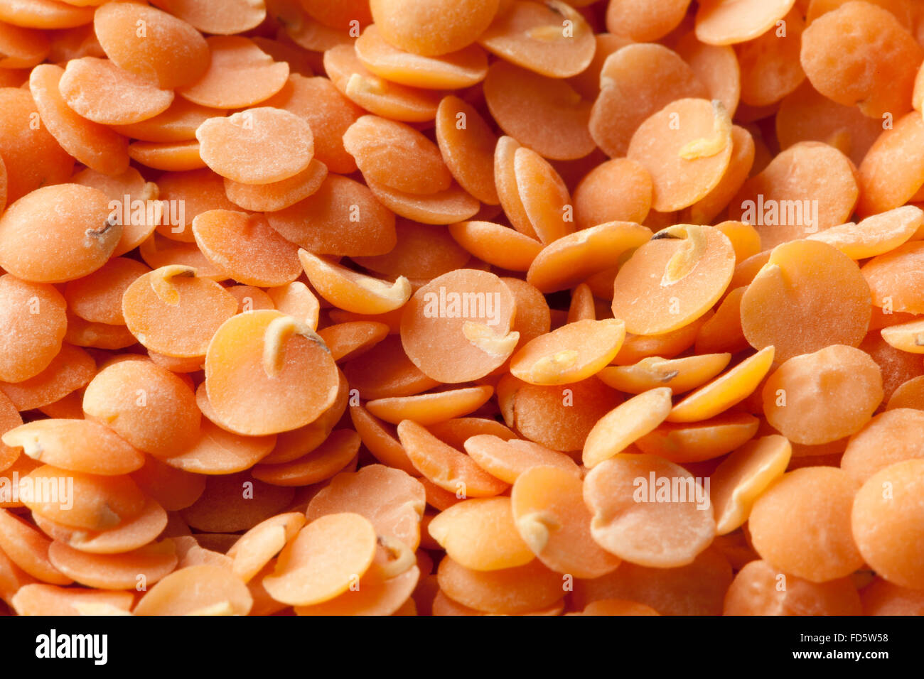 Dried red lentils full frame close up Stock Photo - Alamy