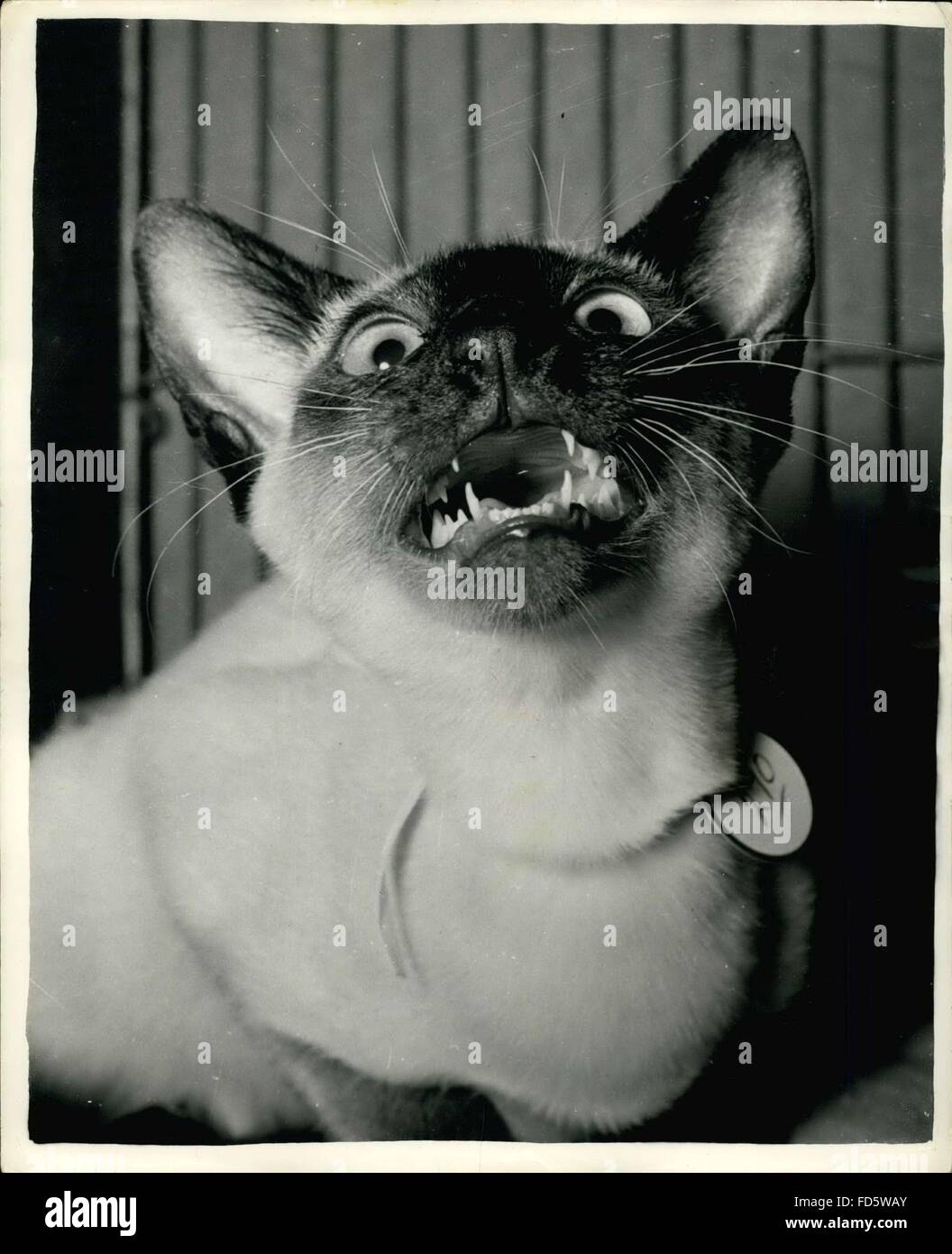 Teeth bared hi-res stock photography and images - Alamy