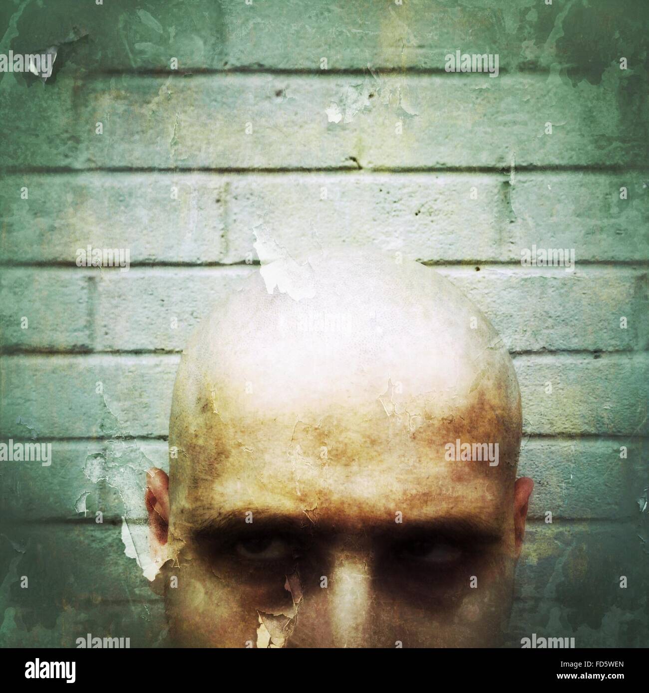 Close Up Of Bald Man Stock Photo - Alamy