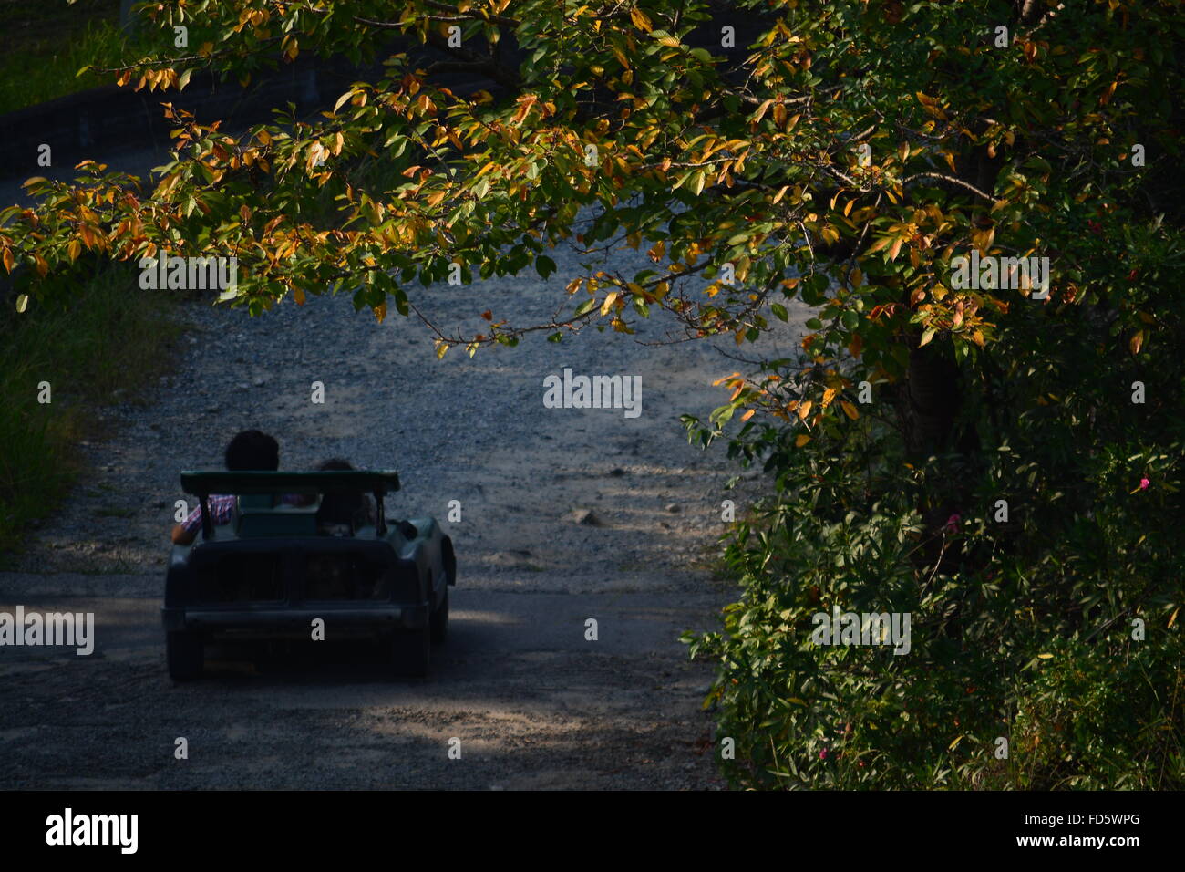 Boy Riding Car Toy High Resolution Stock Photography and Images - Alamy