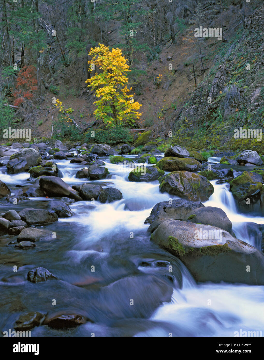 Oregon cascades mountains autumn hi-res stock photography and images ...