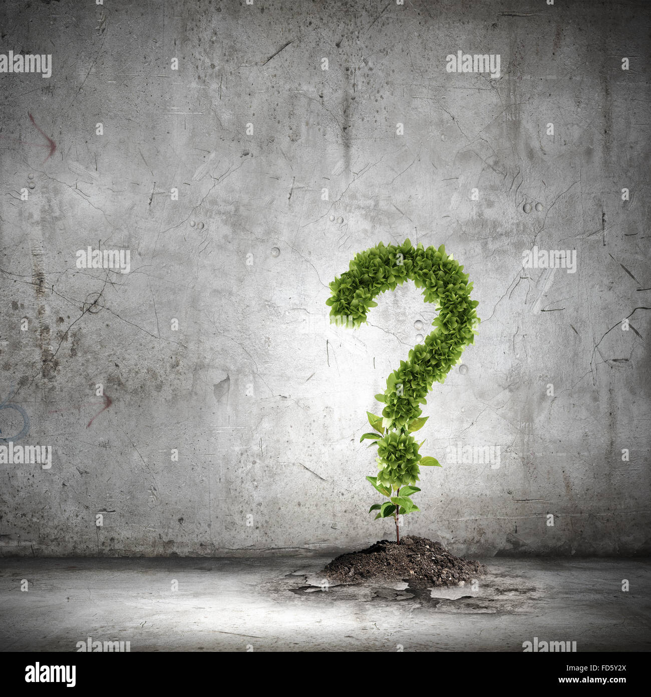 Image of green plant shaped like question mark Stock Photo - Alamy