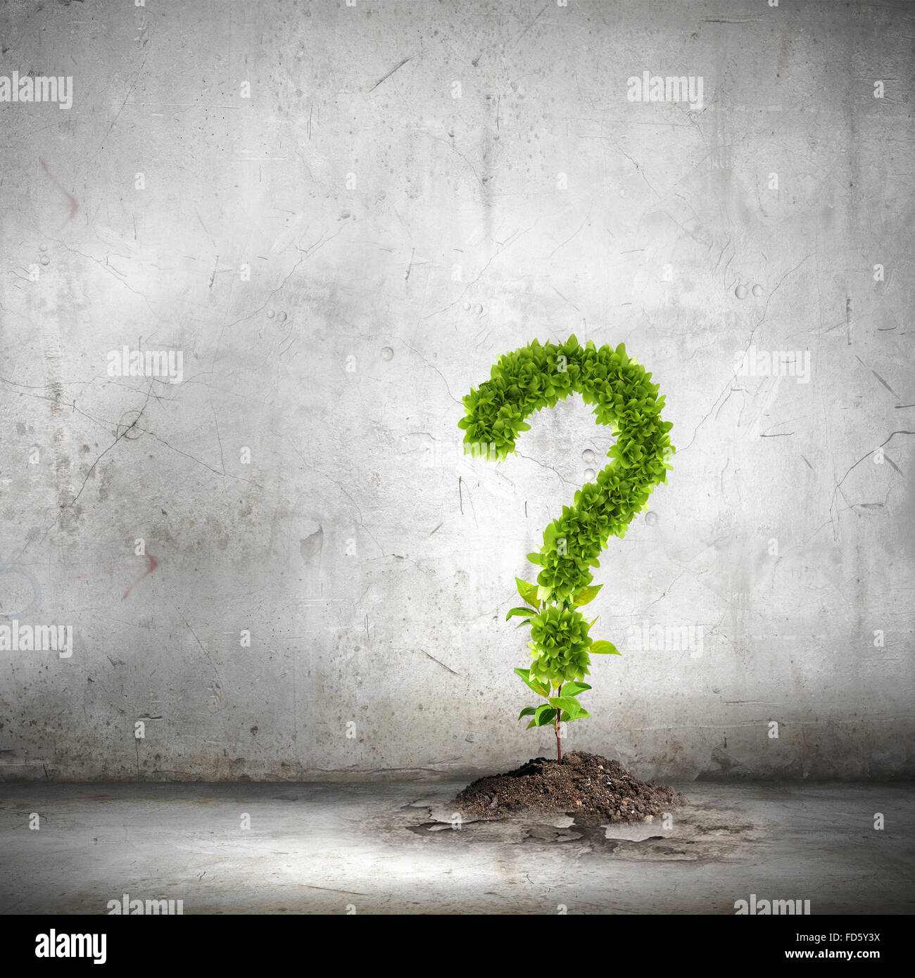 Image of green plant shaped like question mark Stock Photo - Alamy