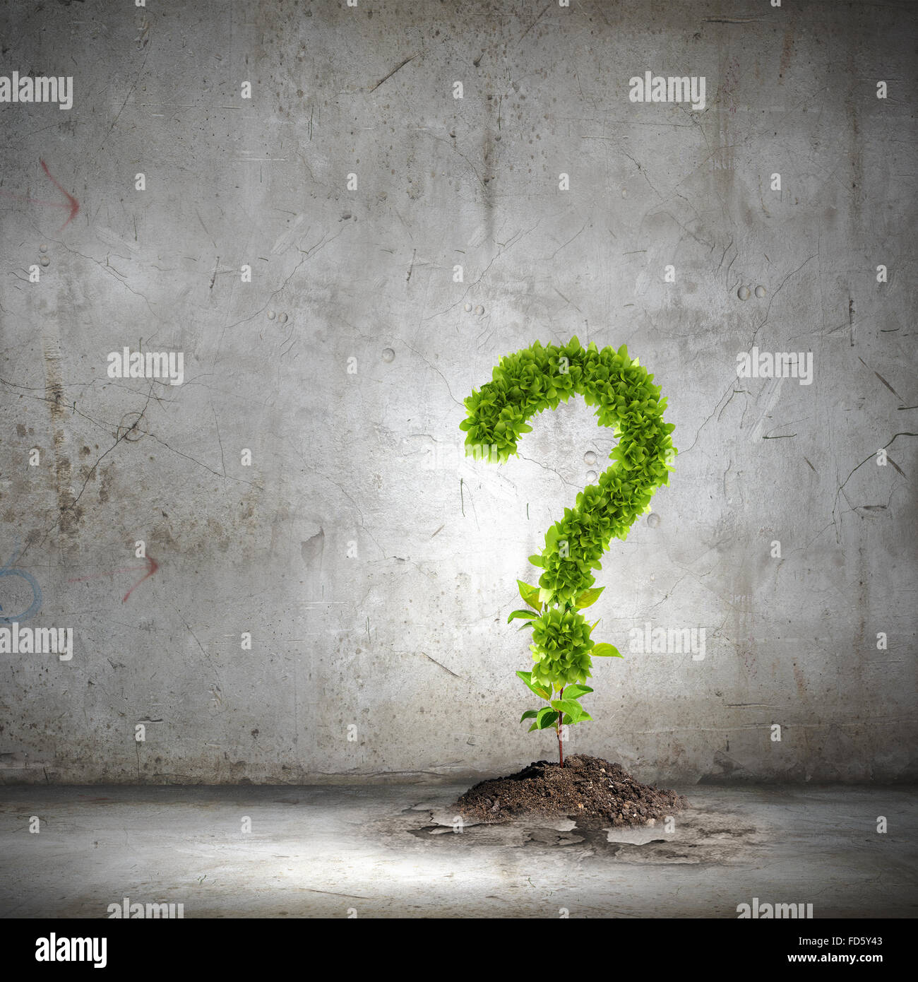 Image of green plant shaped like question mark Stock Photo - Alamy