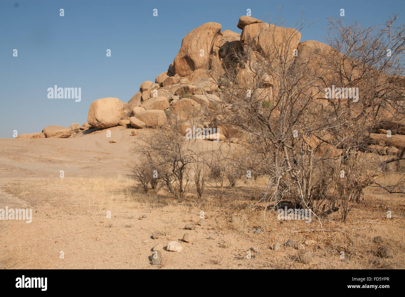 Bush in the desert hi-res stock photography and images - Alamy
