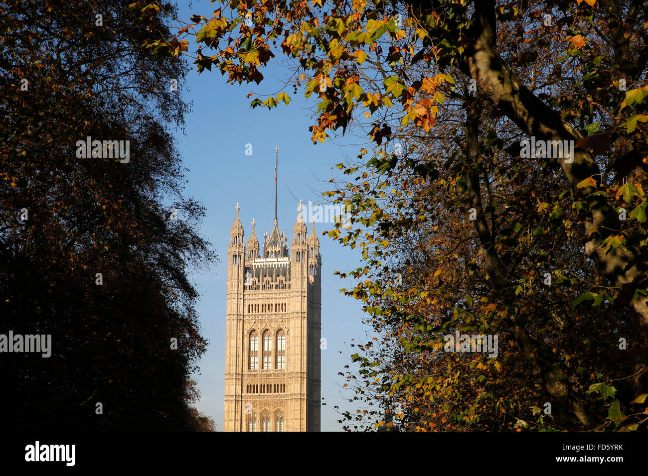 Big ben tree hi-res stock photography and images - Alamy
