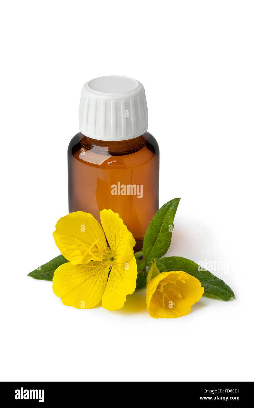 Bottle with Evening Primrose oil and fresh flower on white background ...