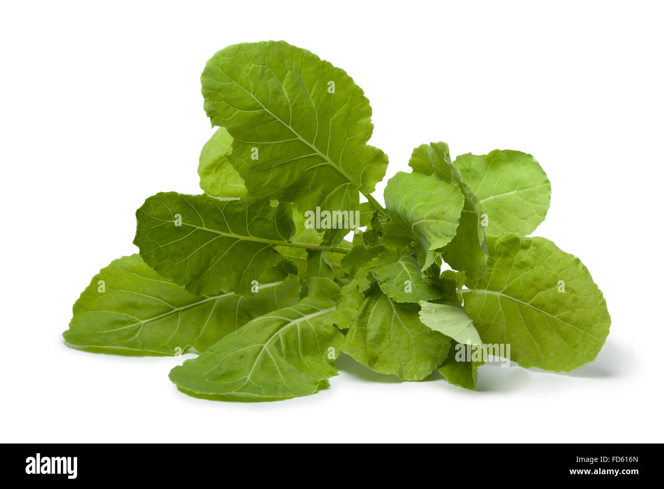 Fresh Spring greens on white background Stock Photo - Alamy