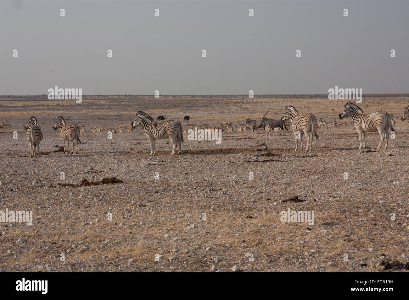 Urban landscape group hi-res stock photography and images - Alamy