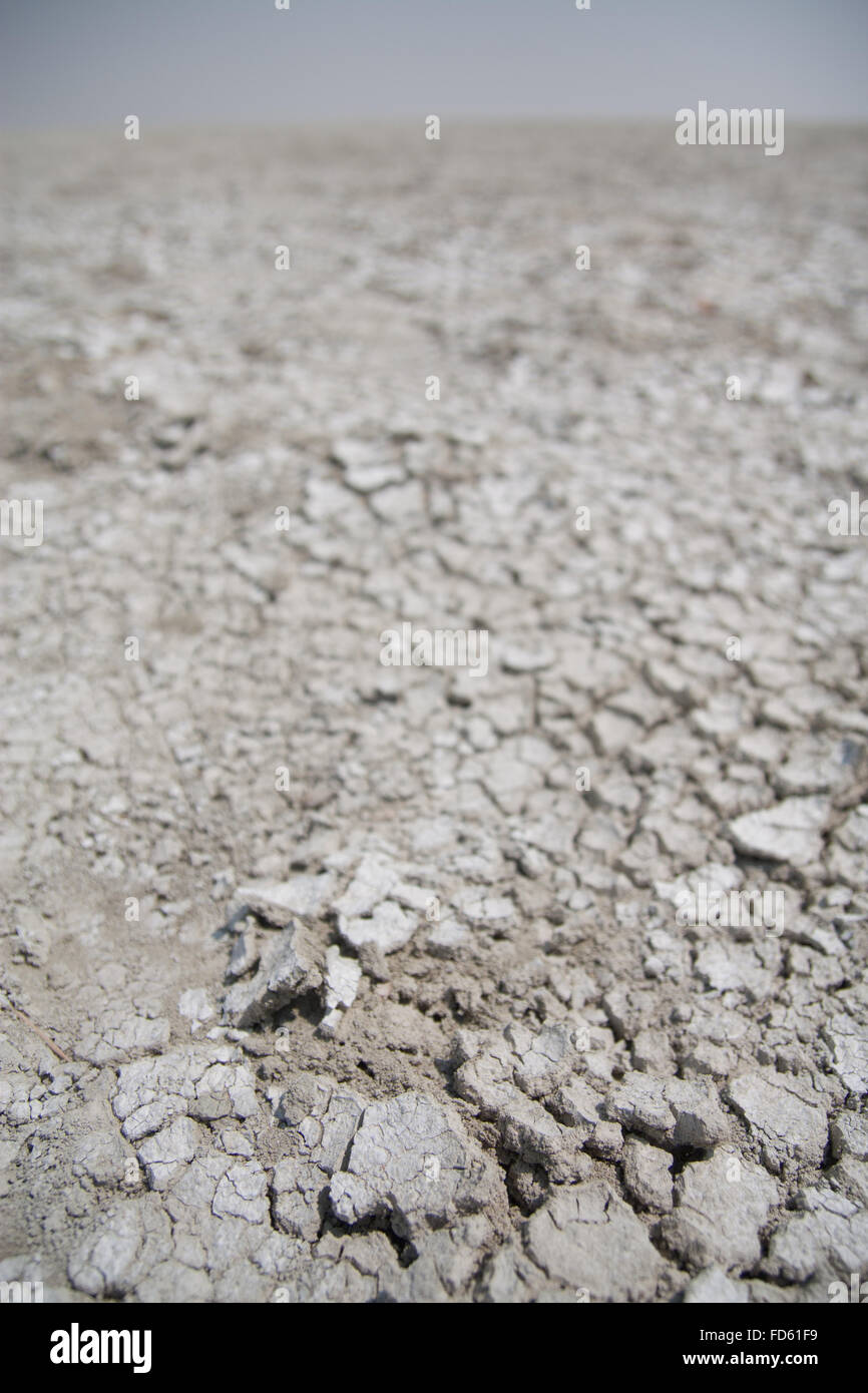 Dried up soil hi-res stock photography and images - Alamy