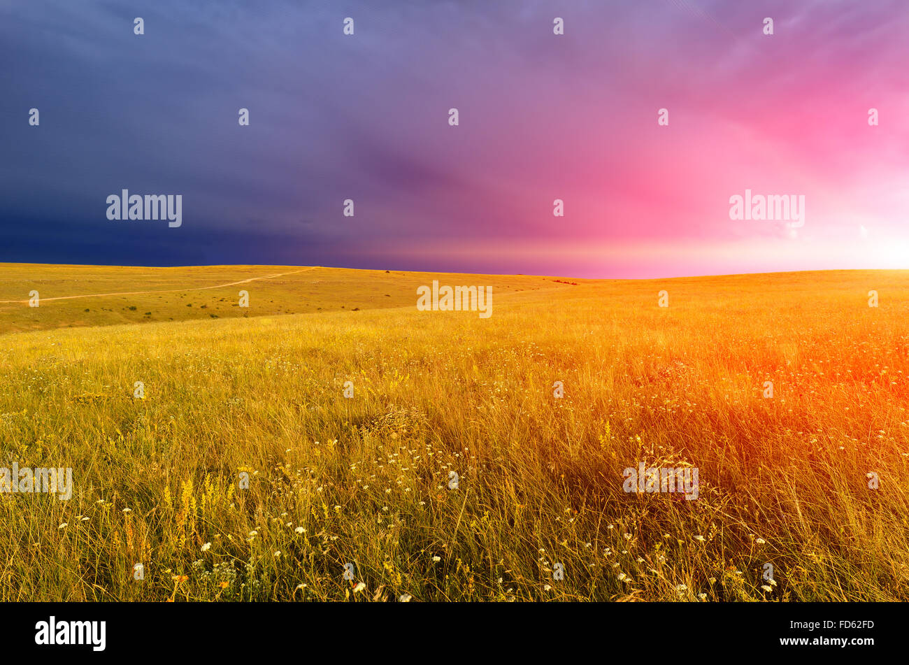 Sunset steppe hi-res stock photography and images - Alamy