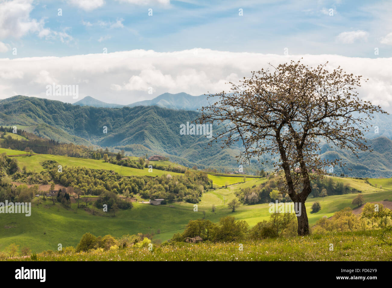Beautiful Italian Countryside Landscape over Rolling Hills and Blue Sky ...