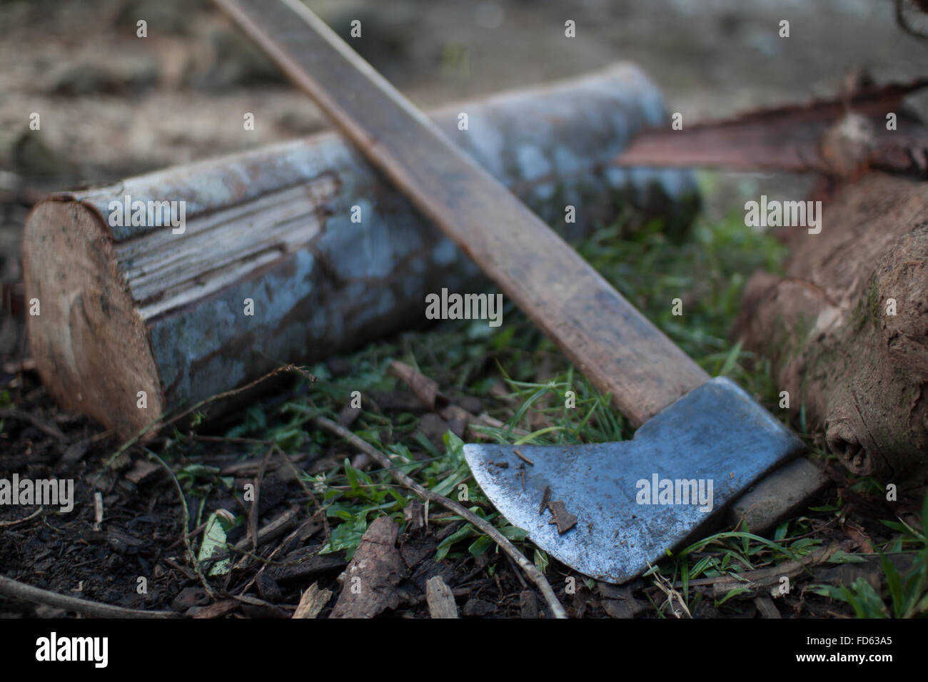Axe day hi-res stock photography and images - Alamy