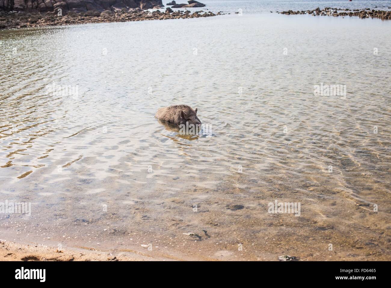Water sand outdoors hi-res stock photography and images - Alamy
