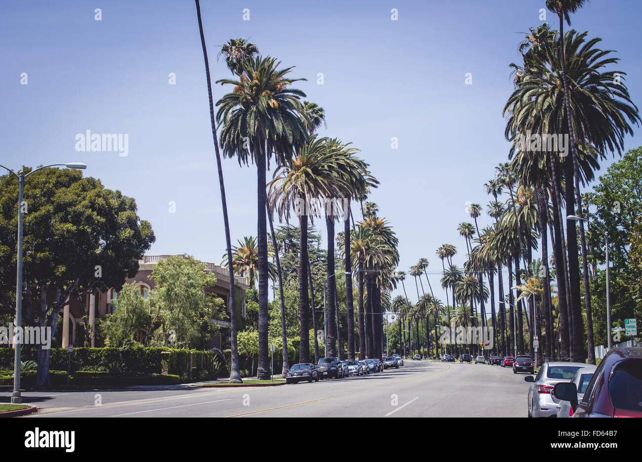 Urban palm trees hi-res stock photography and images - Alamy