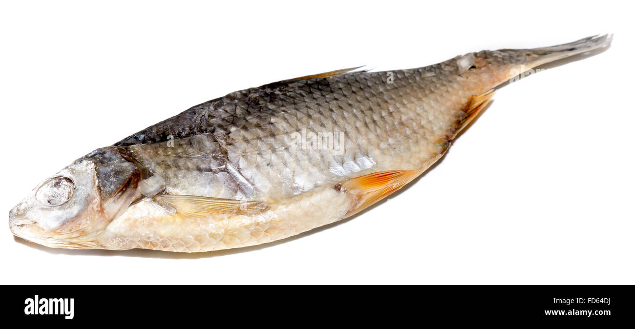 The Dried Fish on a color background Stock Photo - Alamy
