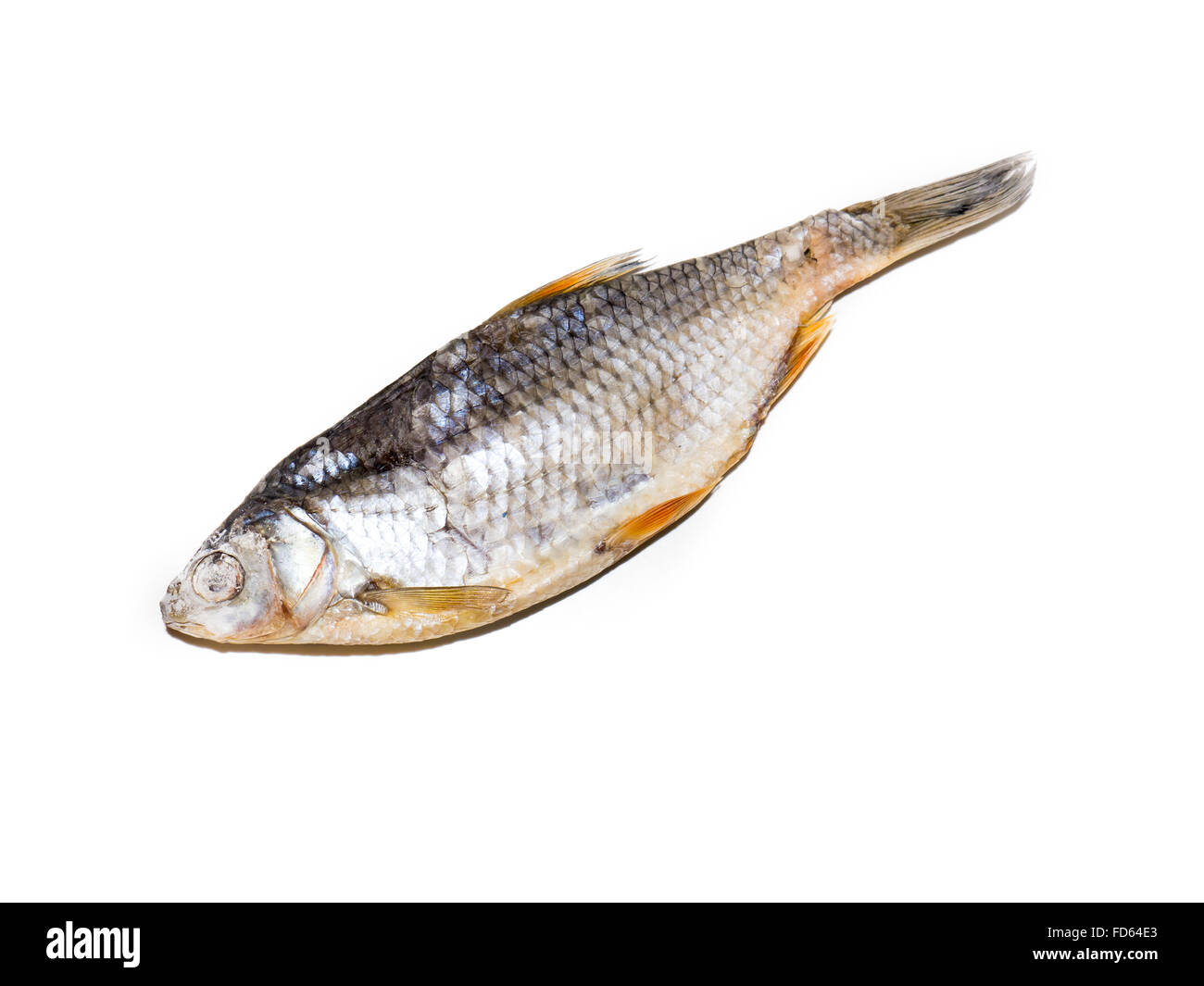 The Dried Fish on a color background Stock Photo - Alamy