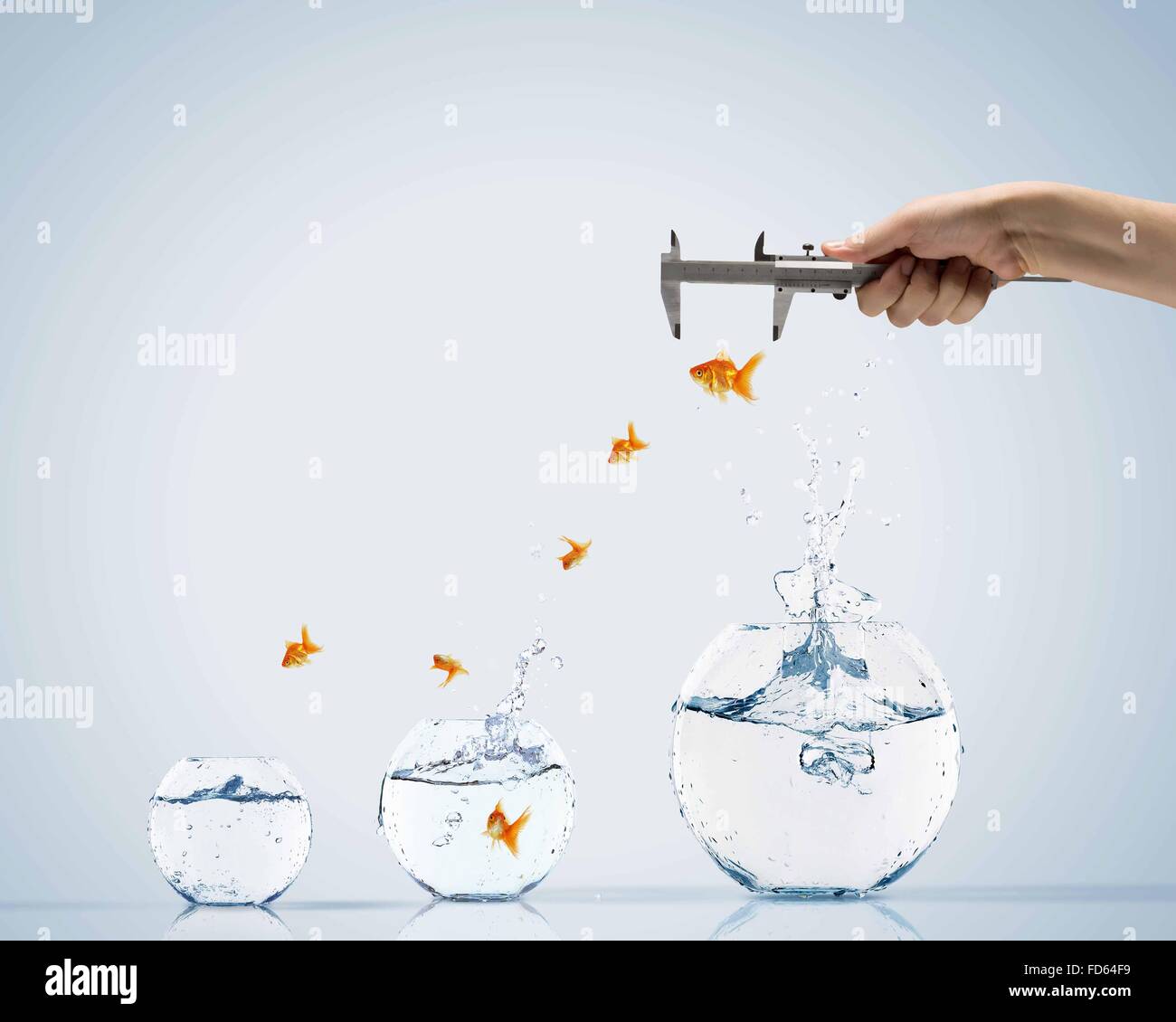 Aquarium with gold fish jumping out of water Stock Photo - Alamy