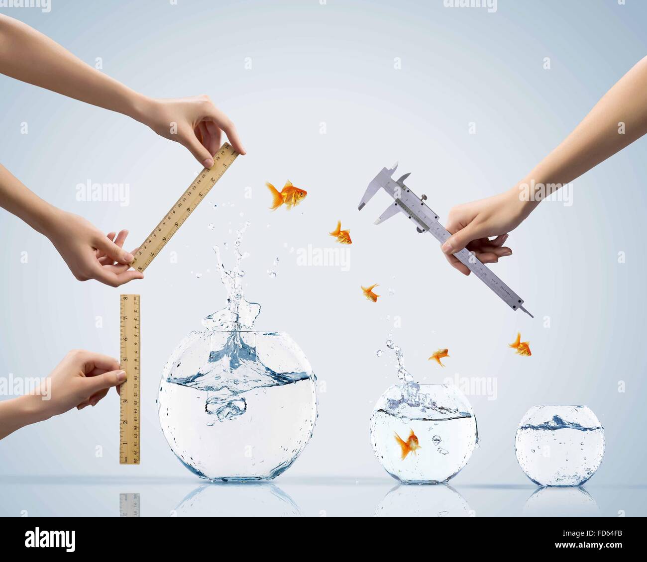 Aquarium with gold fish jumping out of water Stock Photo - Alamy
