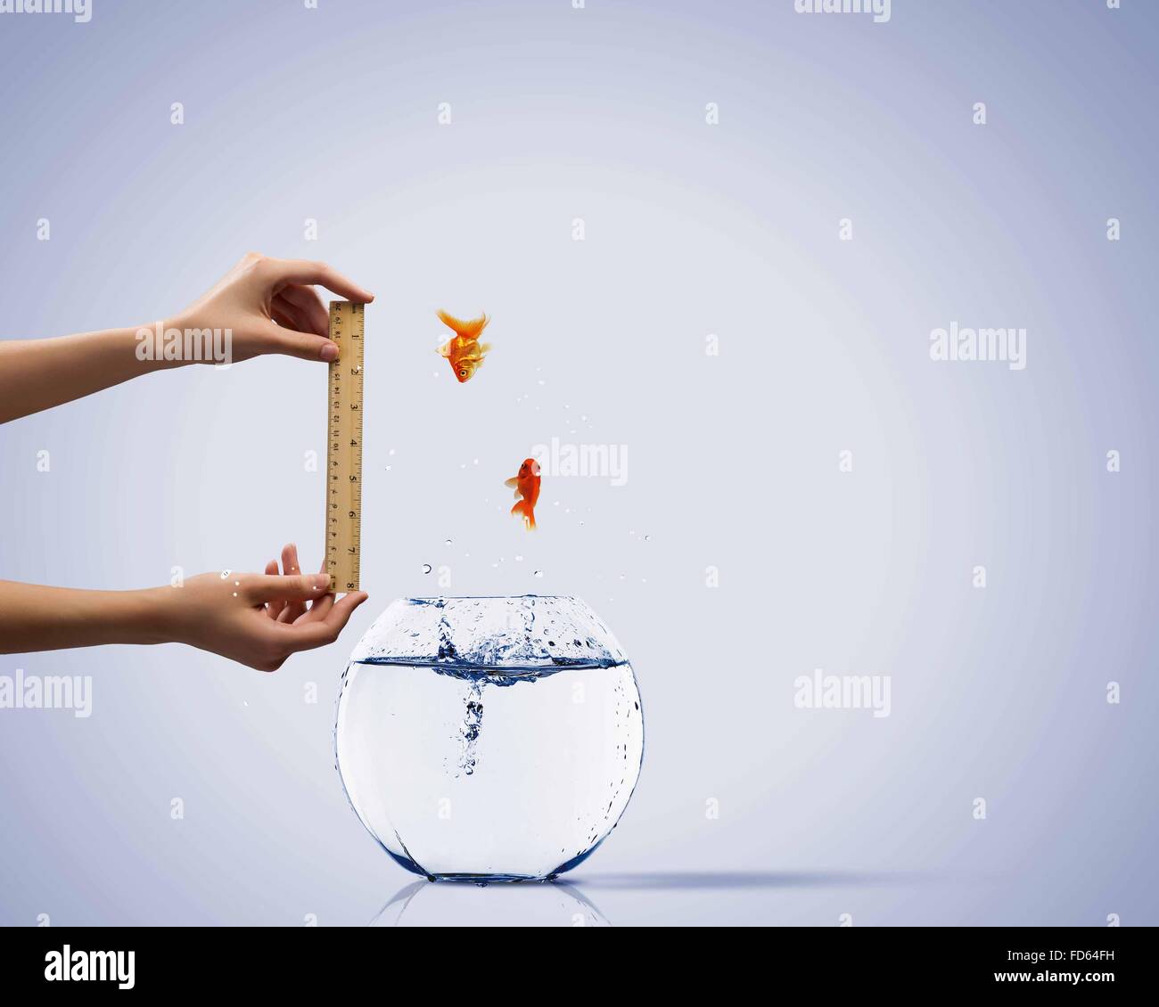Fish jumping tank dream hi-res stock photography and images - Alamy