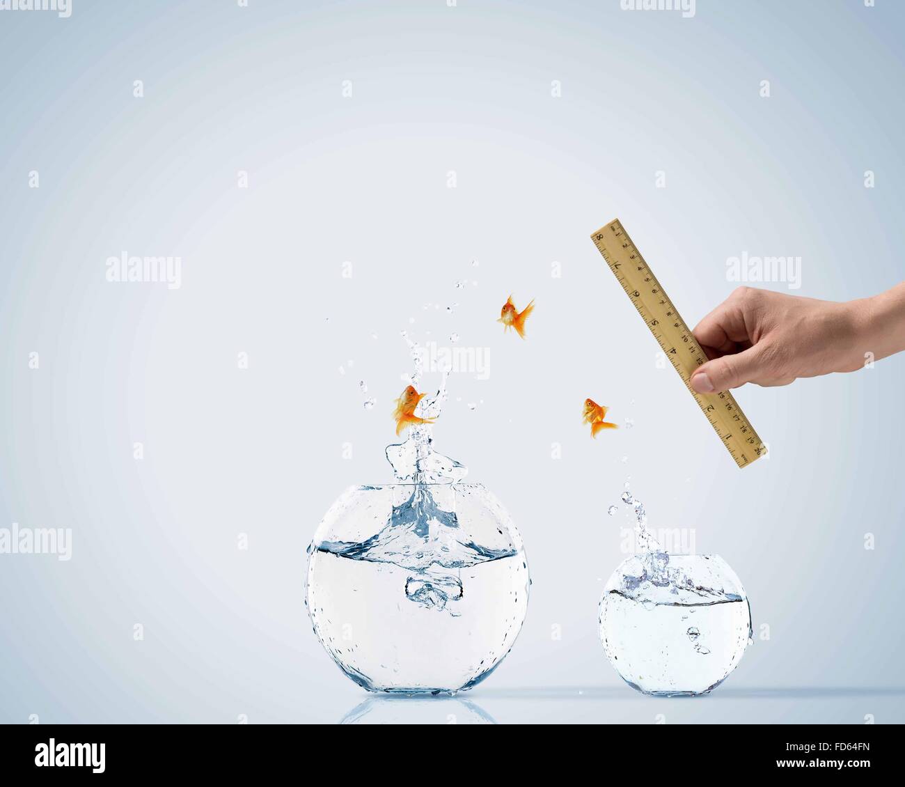 Fish jumping tank dream hi-res stock photography and images - Alamy