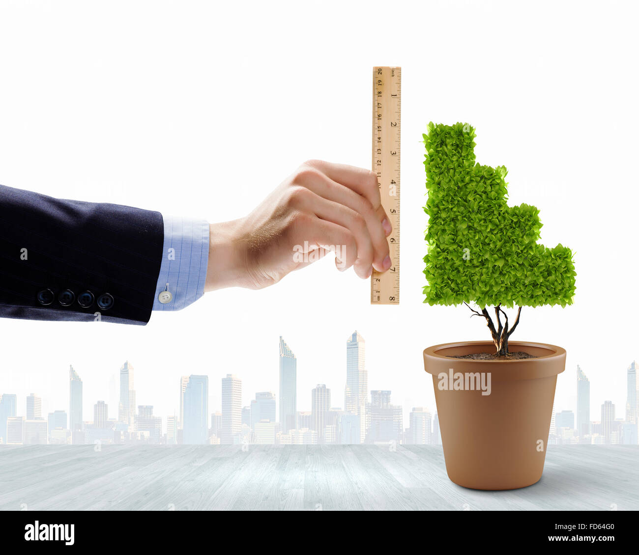 Close up of human hand measuring plant in pot Stock Photo - Alamy