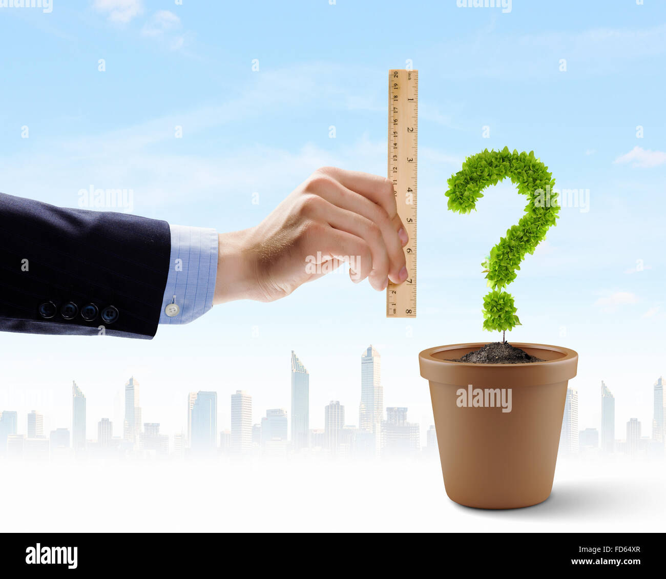 Human hand holding ruler and measuring pot plant Stock Photo - Alamy