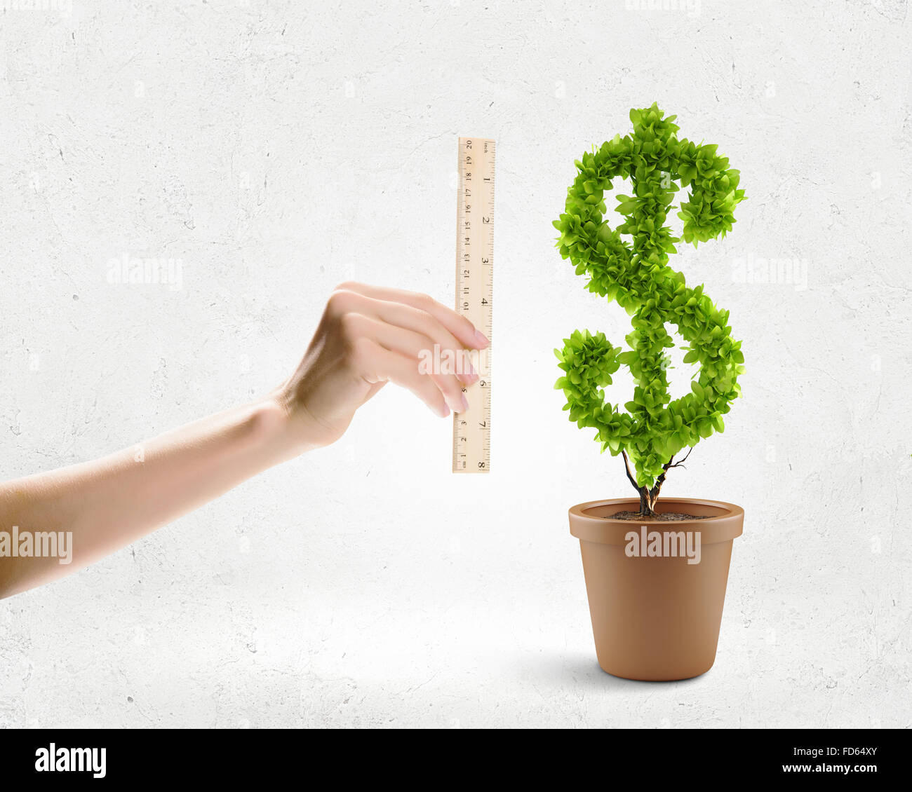 Human hand holding ruler and measuring money tree Stock Photo - Alamy