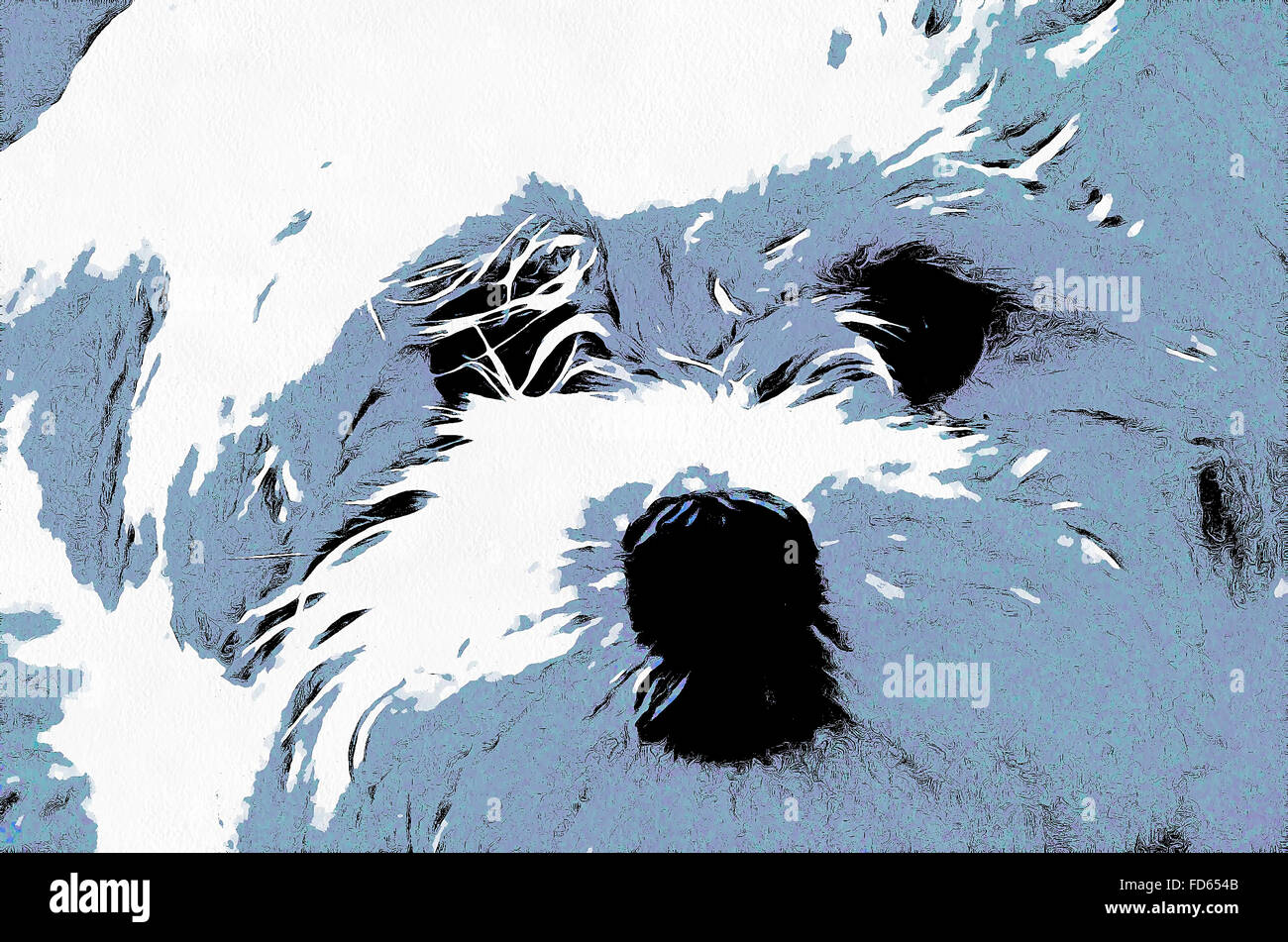 Mammal artwork hi-res stock photography and images - Alamy