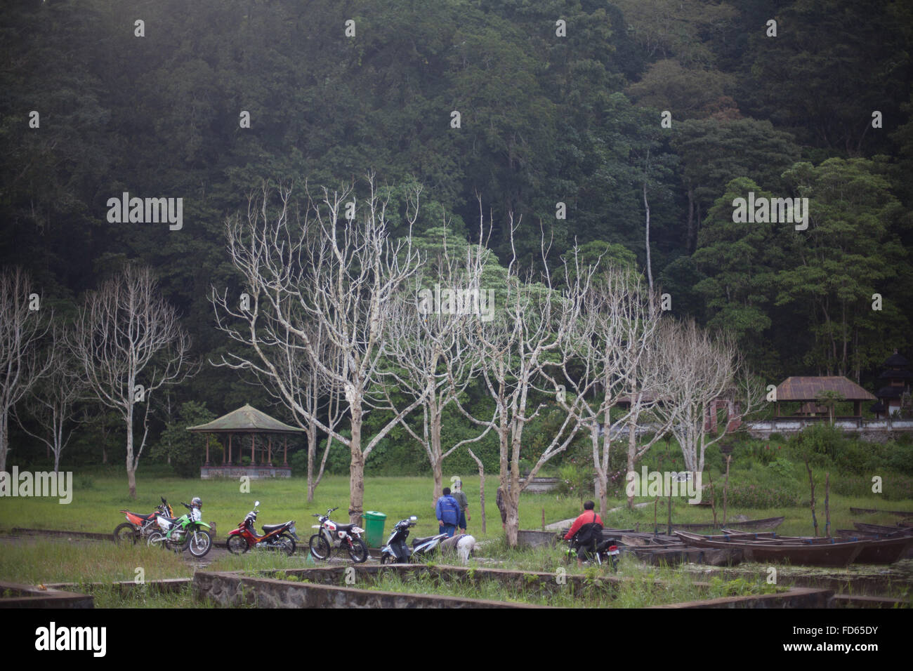 Edge Of Jungle High Resolution Stock Photography and Images - Alamy