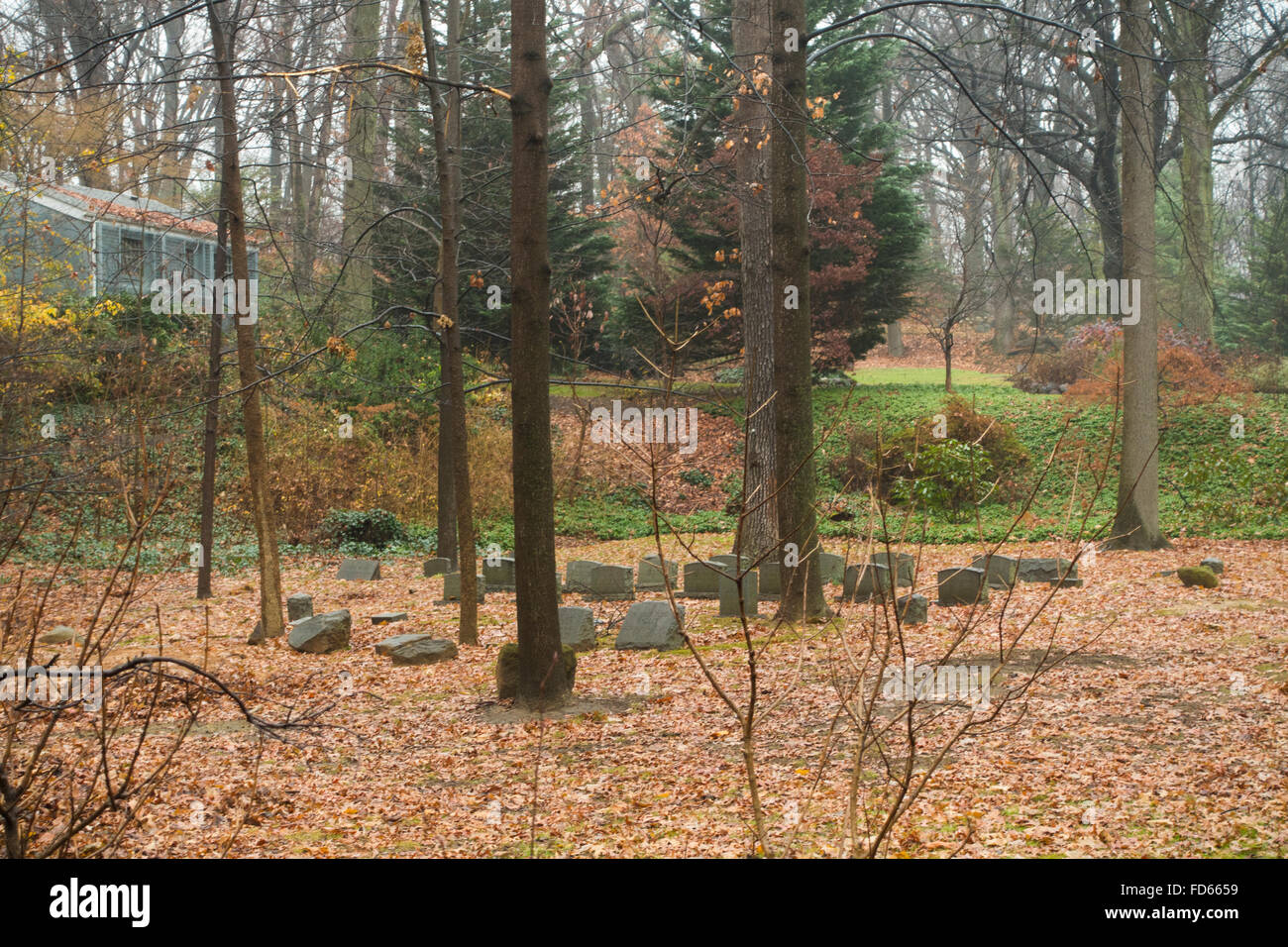 Prospect park fall color autumn Brooklyn NY leaves Stock Photo - Alamy