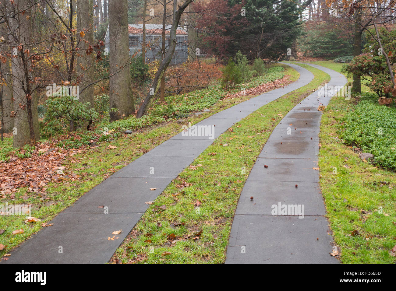 Prospect park fall color autumn Brooklyn NY leaves Stock Photo - Alamy